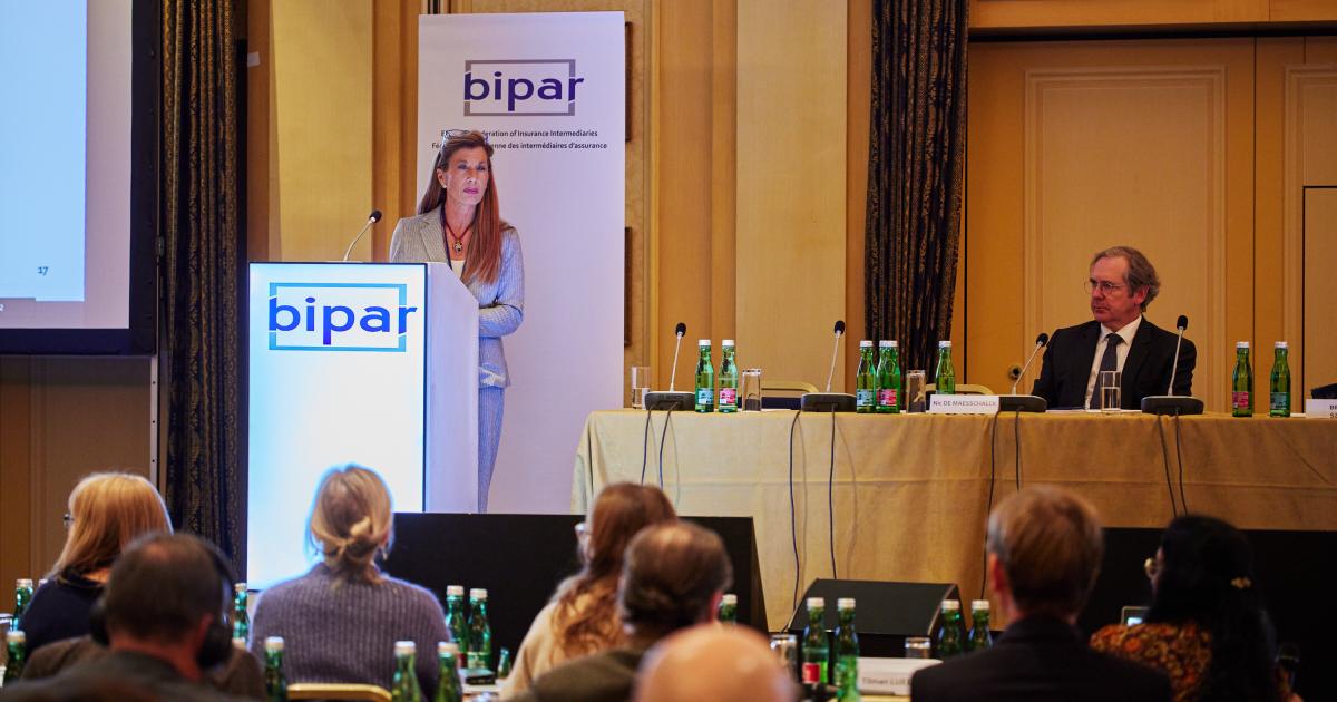 Chair Szego addresses BIPAR Mid-Term Meeting in Vienna - Authority for ...